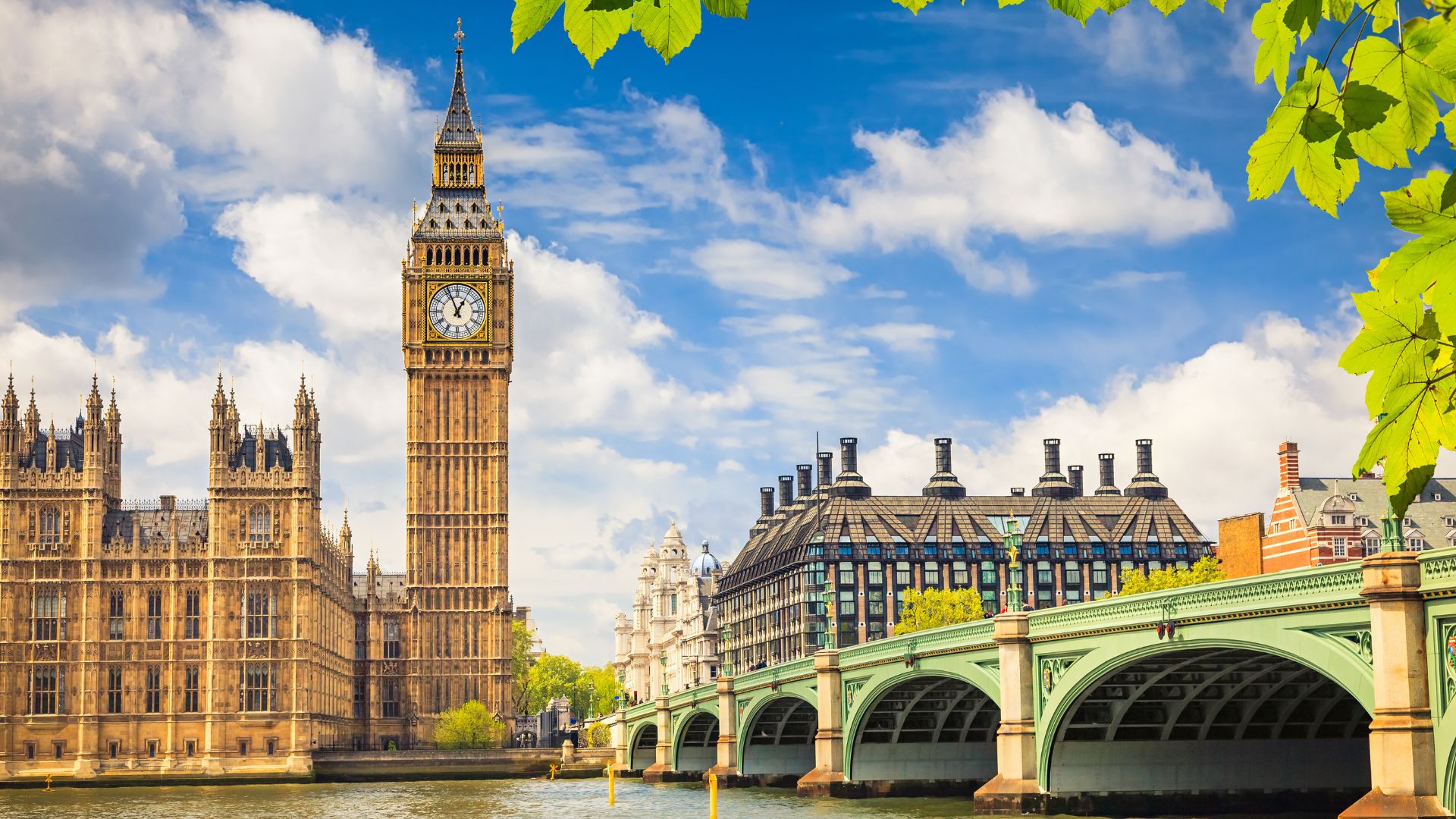 Media Round Up: Summer 2025